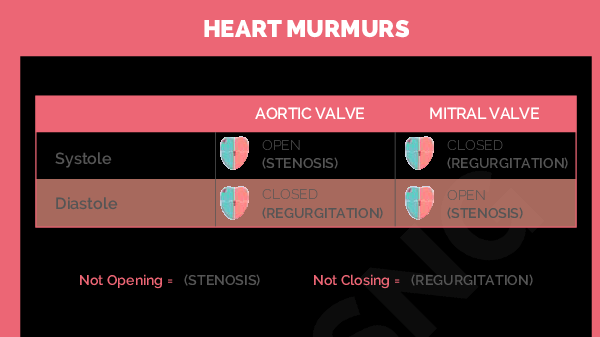 Heart Murmurs | NURSING.com