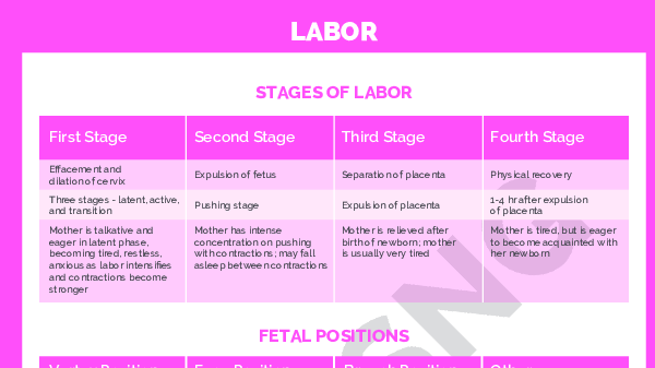 Stages of Labor | NURSING.com