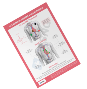 Free Nursing Cheatsheets | Download Now | NURSING.com