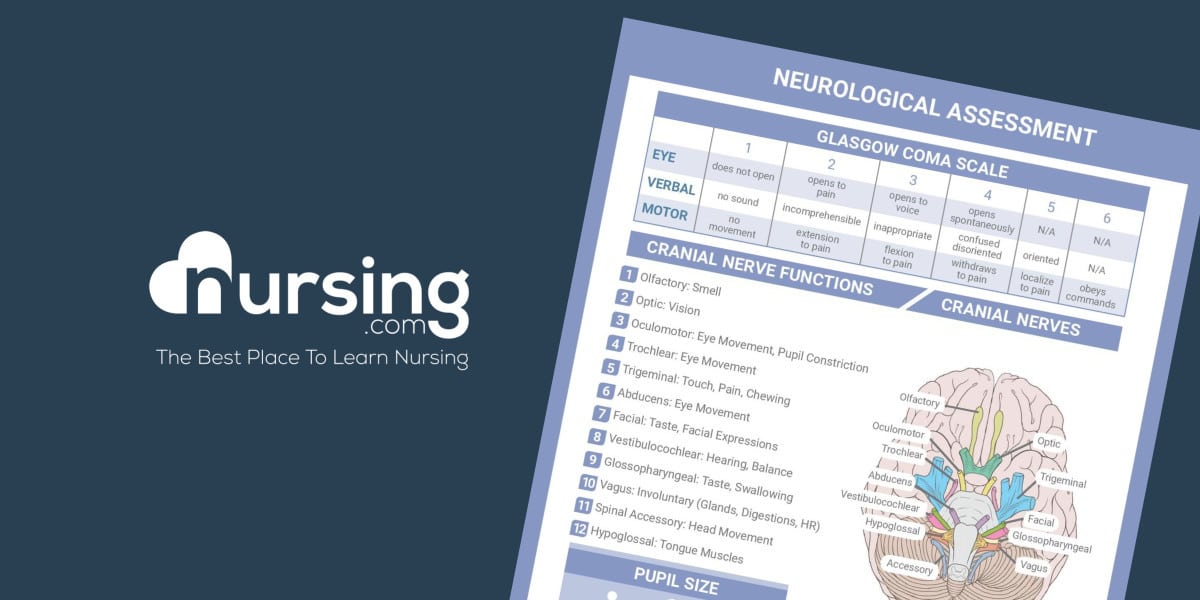 Free Nursing Cheatsheets | Download Now | NURSING.com