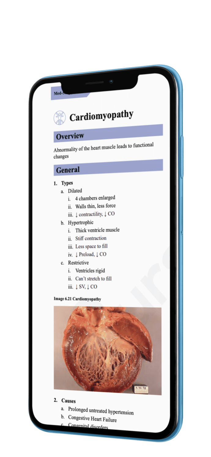 The NCLEX Flash Notes Podcast Listen Now | NURSING.com